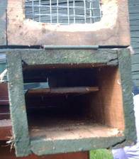 Fourteenacre | Rabbit Drop Box