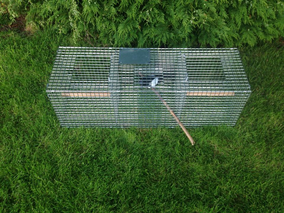 Fourteenacre | Trap Making - Double Magpie Trap - Cory Thomas, Gwent