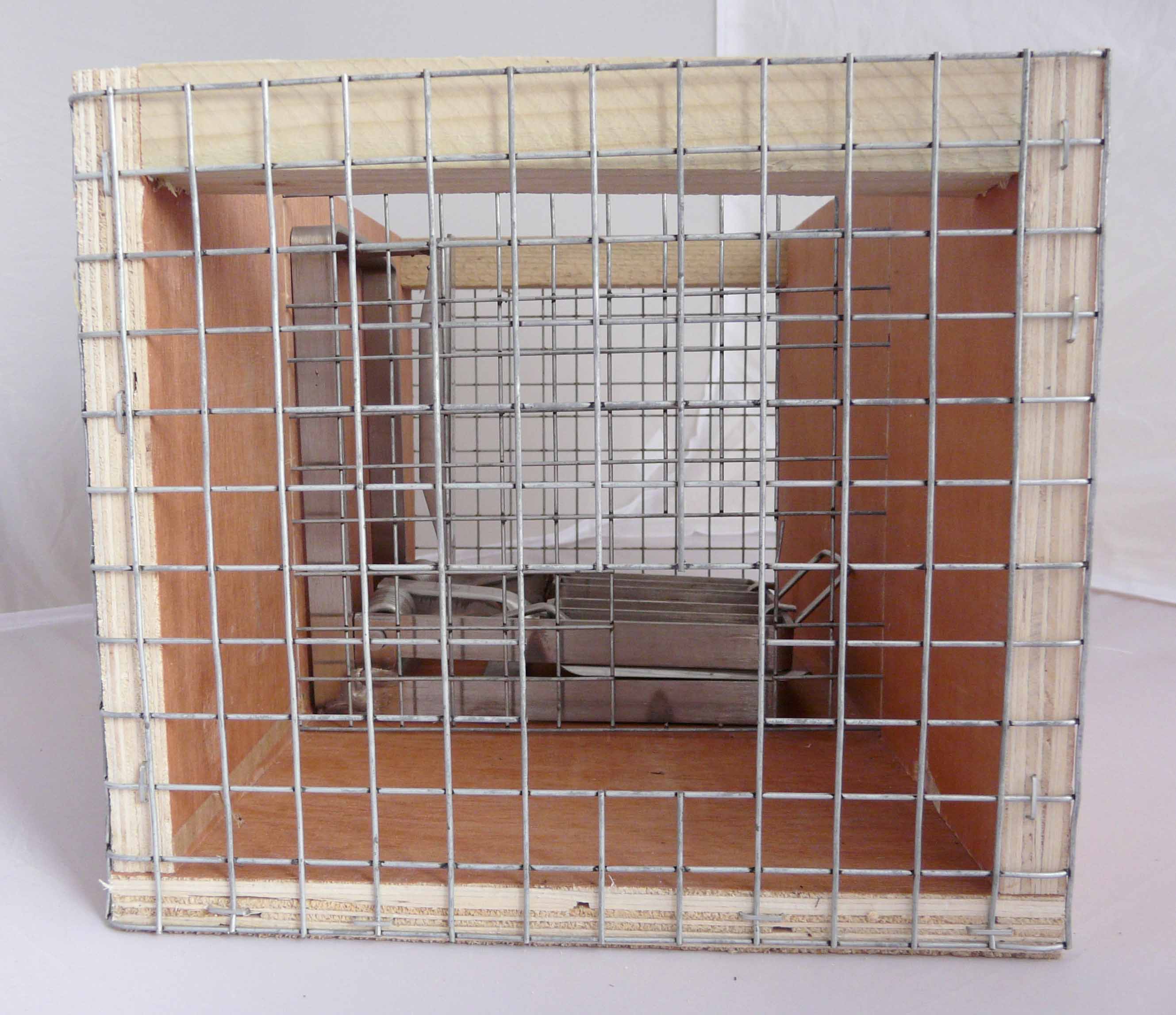 Fourteenacre | AIHTS, Spring Traps & Stoats - advice on use of non ...