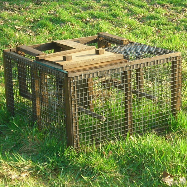 Fourteenacre | Trap Making - Ladder & Larsen Traps - John, from Lancashire