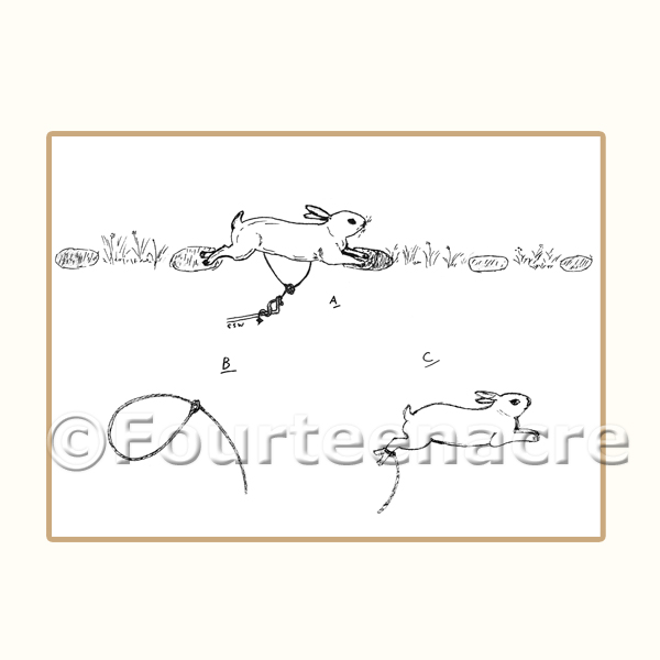 Fourteenacre | Professional Rabbit Snaring by Glenn Waters