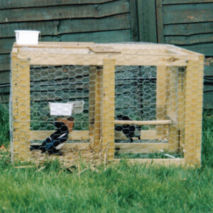 Fourteenacre | Larsen Traps in Action