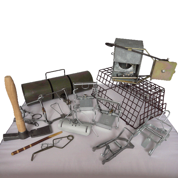 Fourteenacre | Popular Trap Types & Designs